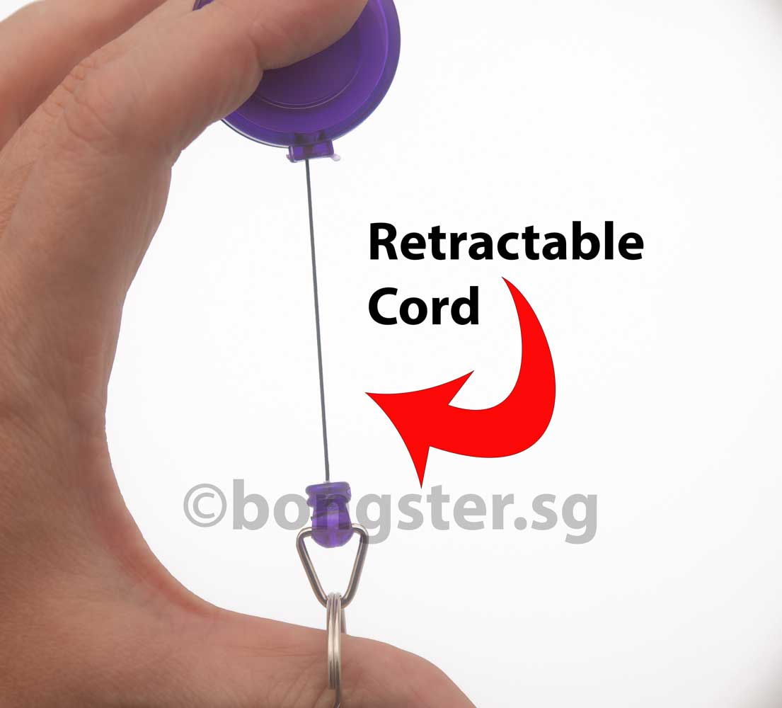 Retractable keychain with carabina hook – Bongster